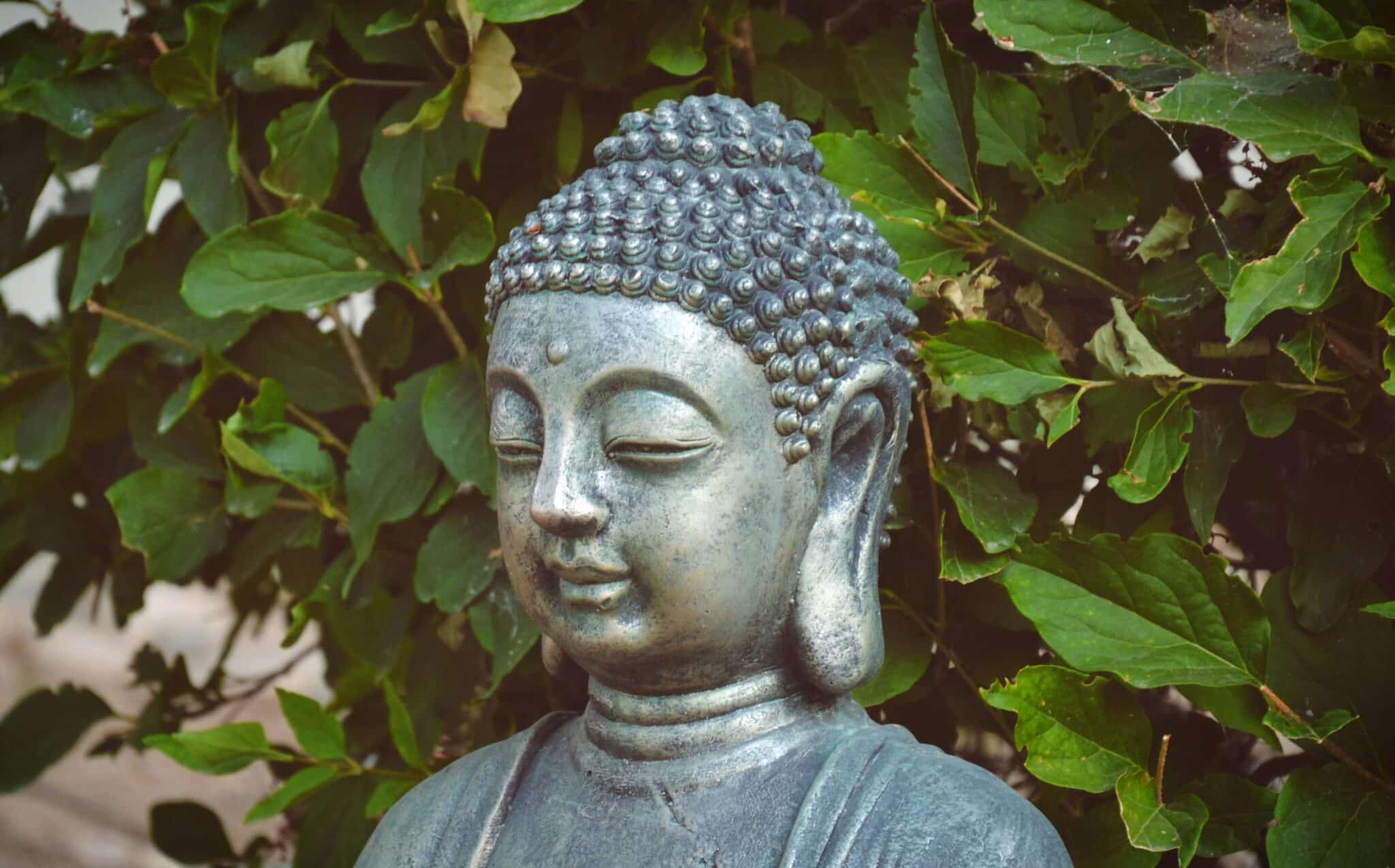 Bodhi Day, a Celebration of the Buddha's Enlightenment - Still Sitting